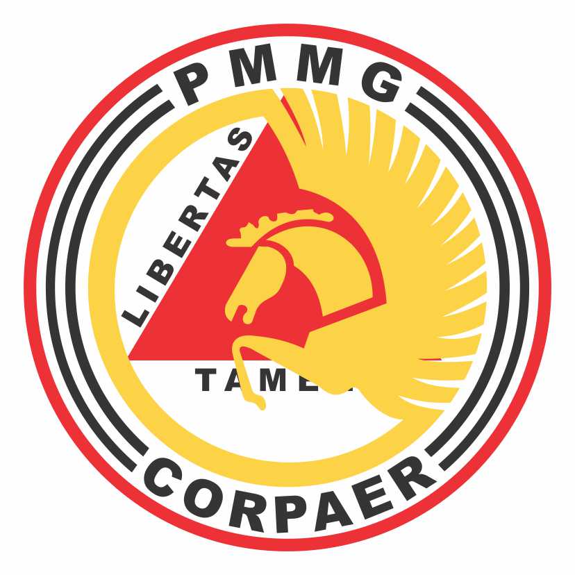 Retrospectiva Comando de Aviação do Estado - COMAVE/PMMG - Piloto Policial